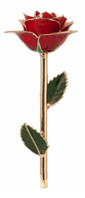 Ravishing Red - 24K Dipped Rose